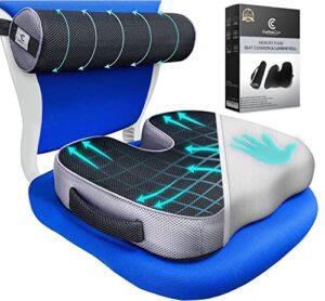 Top 10 Best Chair For Sacroiliac Pain In 2023 - Theusefulhammers