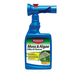 10 Best Algae Killer for Concrete In 2023-2024 - Theusefulhammers